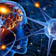 Иконка канала Феномено