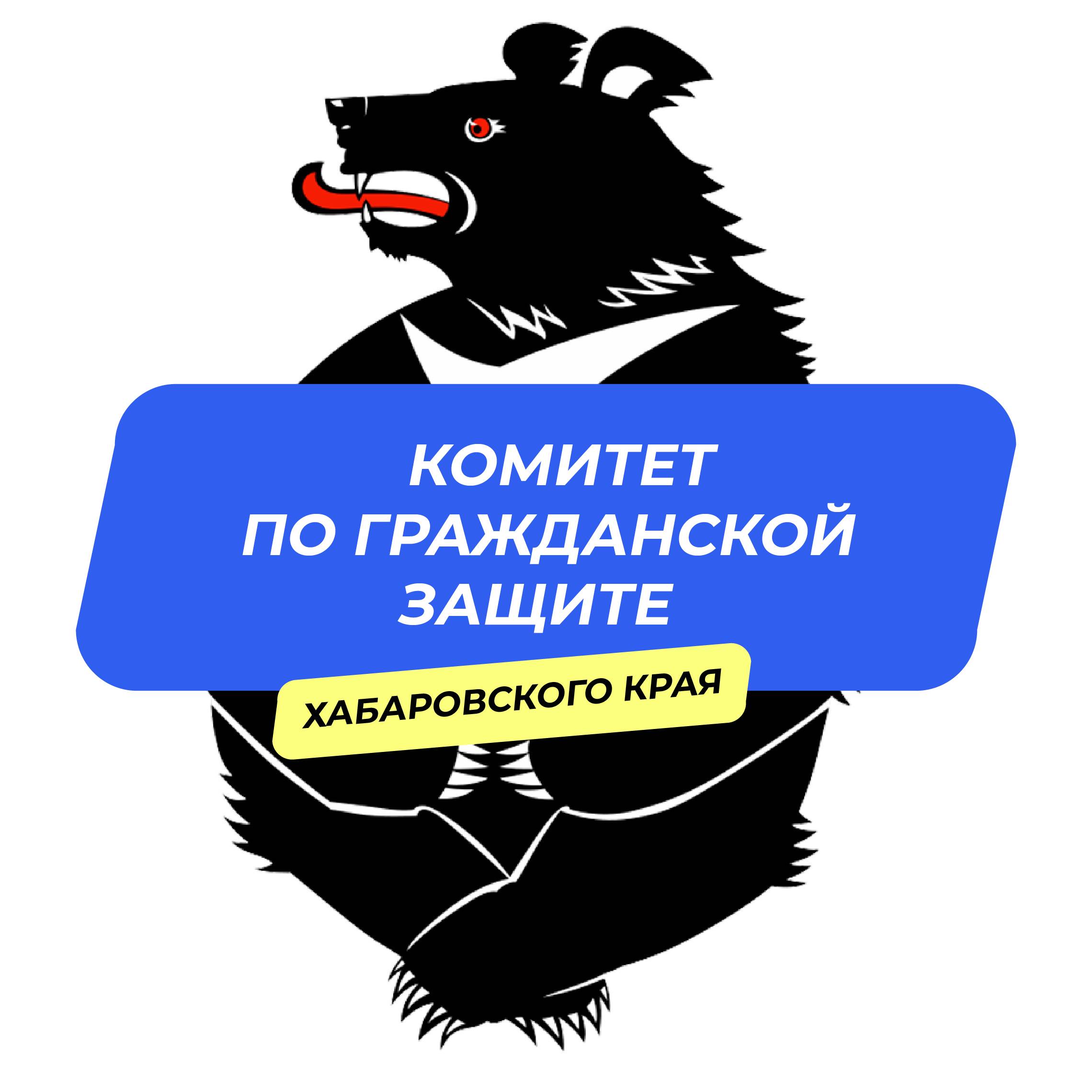 Иконка канала Комитет Правительства Хабаровского края по ГЗ