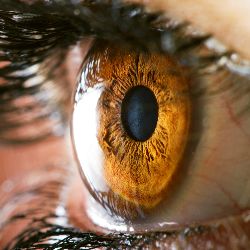 Иконка канала Хирургия глаз