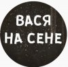 Иконка канала Вася на сене