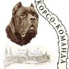 Иконка канала КОРСО-КОМАНДА - помощь кане корсо попавшим в беду