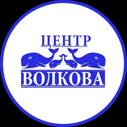 Иконка канала Центр Волкова