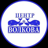 Иконка канала Центр Волкова
