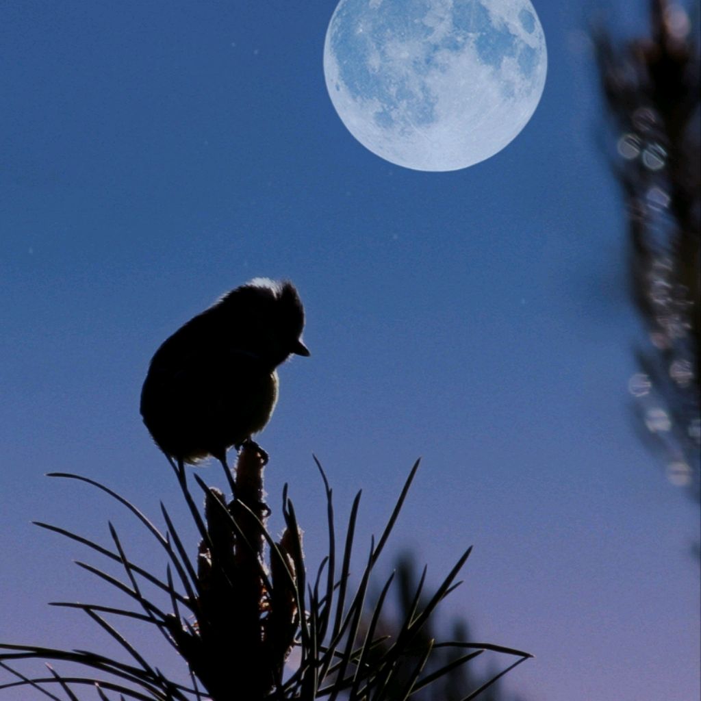 Иконка канала LotAr1127