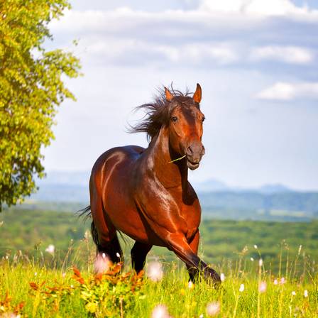 Иконка канала КИЗИКАРЛИ ДУНЕ