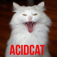 Иконка канала ACIDCAT