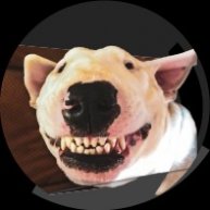 Иконка канала Федя Куролесов