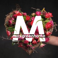 Иконка канала Комнатные растения Казань Maxgreenhome