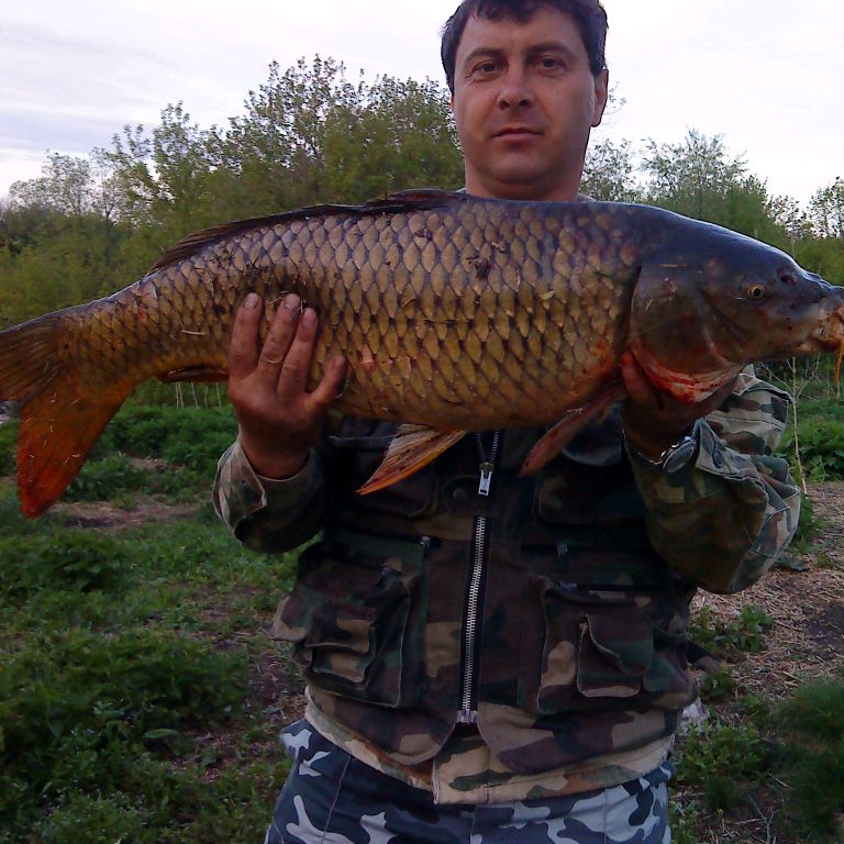 Иконка канала В гостях у Виталия