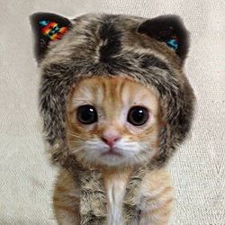 Иконка канала Kirov Reporting