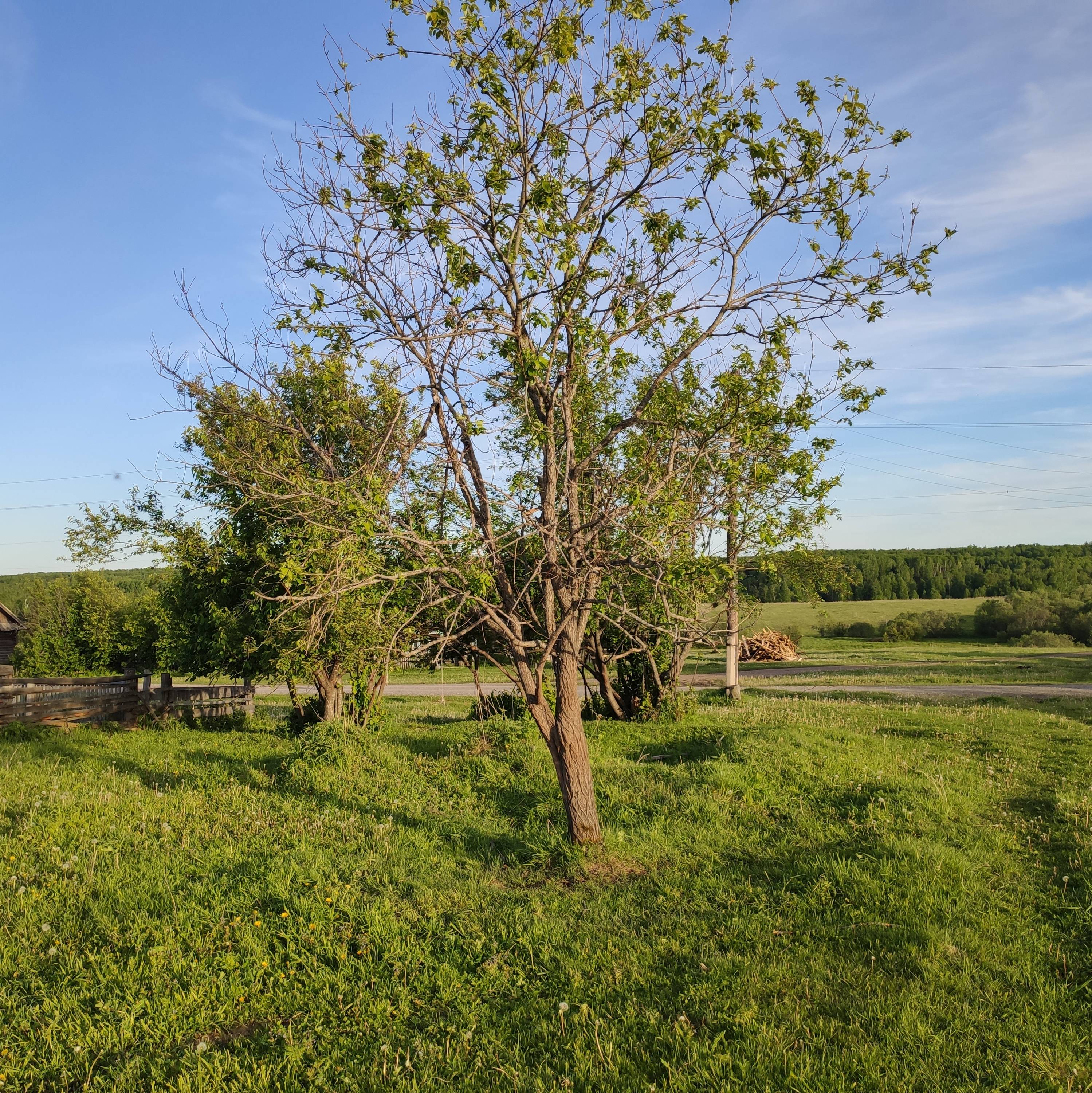 Иконка канала Деревня - Новая Дорога