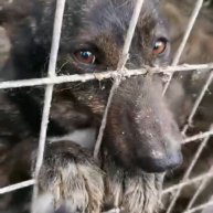 Иконка канала В ДОБРЫЕ РУКИ. ОТЛОВЫ КZ.