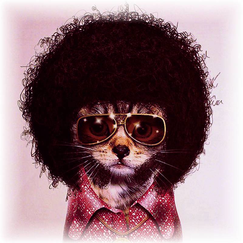 Иконка канала Сериальный анонс