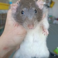 Иконка канала Kristaliki