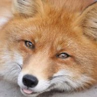 Иконка канала Павел Тор