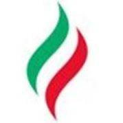 Иконка канала Трансляции Института ТатНИПИнефть