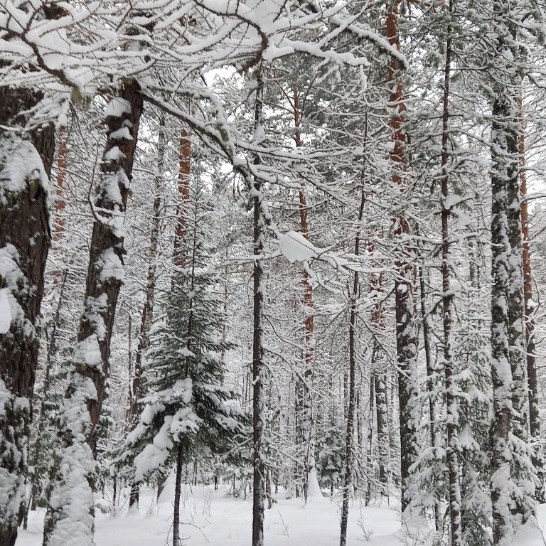 Иконка канала channel32874699