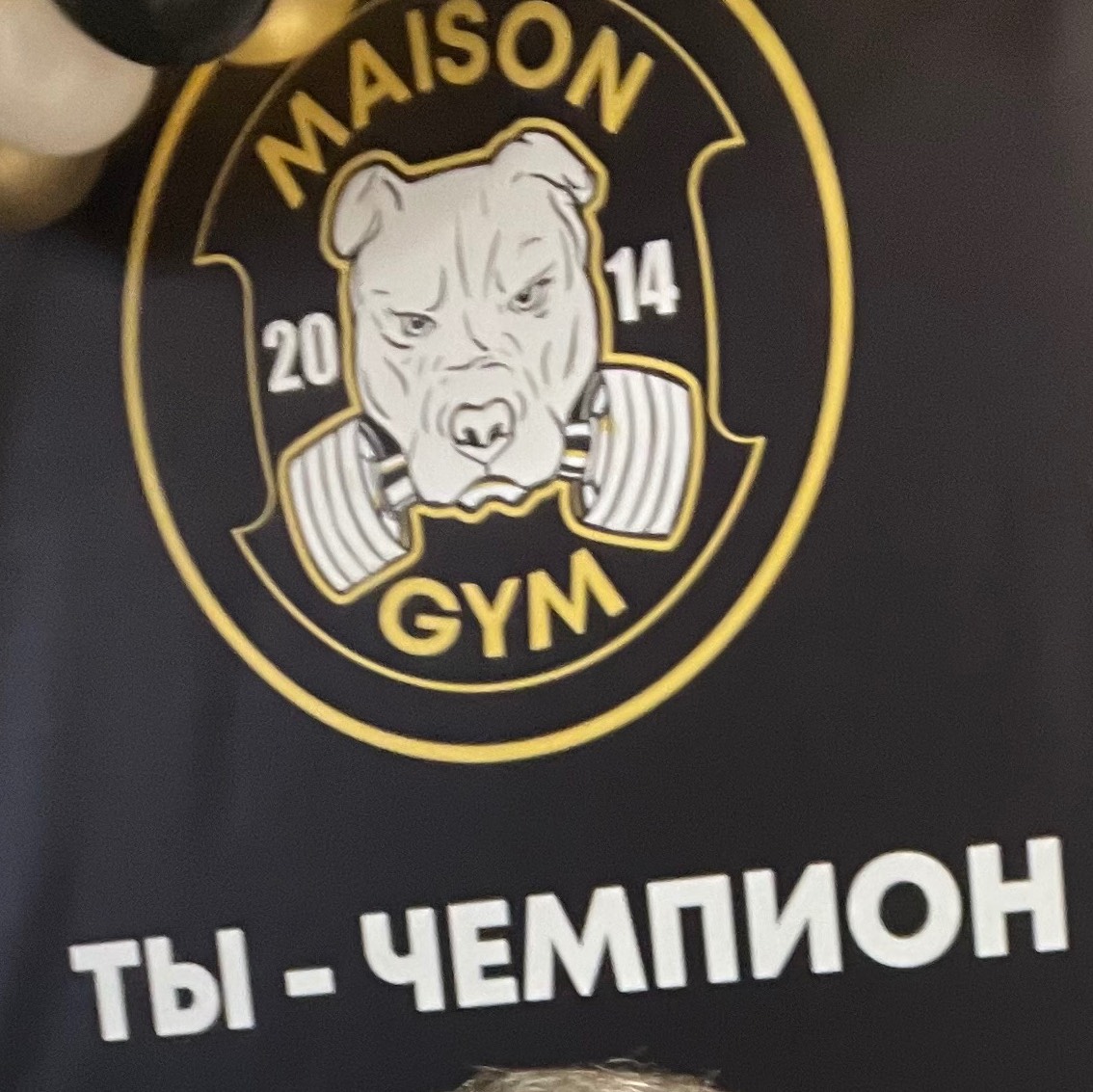 Иконка канала Sport live in fitness club Maison Gym