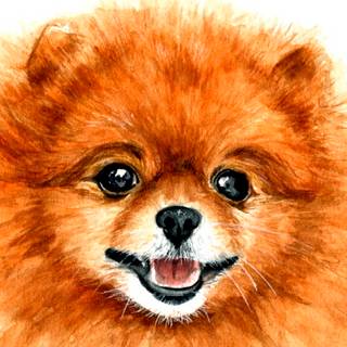 Иконка канала Pombubby