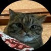 Иконка канала Как я ездил в Абхазию. МАХ Абхазия и я