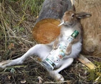 Иконка канала ДЕРЕВЕНСКИЕ ПРИКОЛЫ!