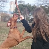 Иконка канала Элизабэт Ивашкевич