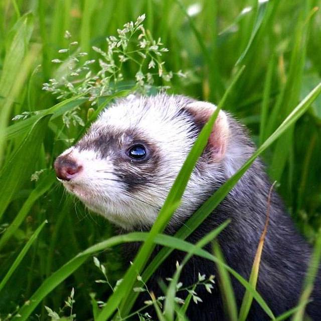 Иконка канала Луна БРИСК