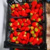 Иконка канала Степная Ягода Оренбург