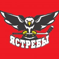 Иконка канала Дудинские Ястребы