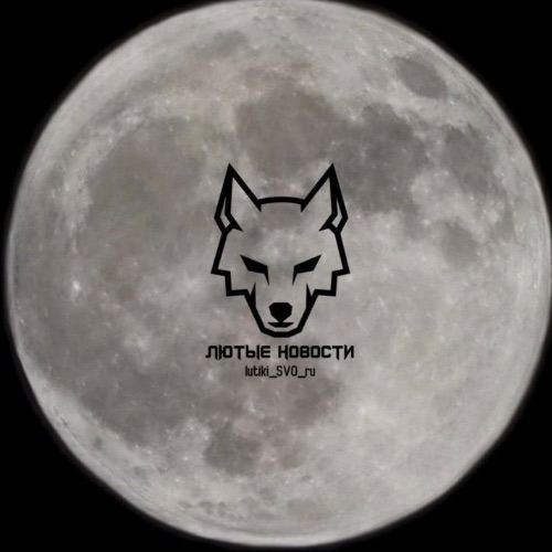 Иконка канала ЛЮТЫЕ🐺_ВИДОСЫ