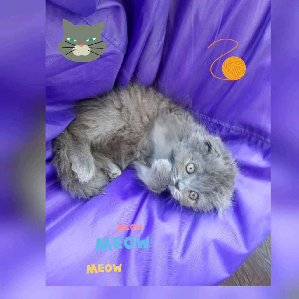 Иконка канала Life