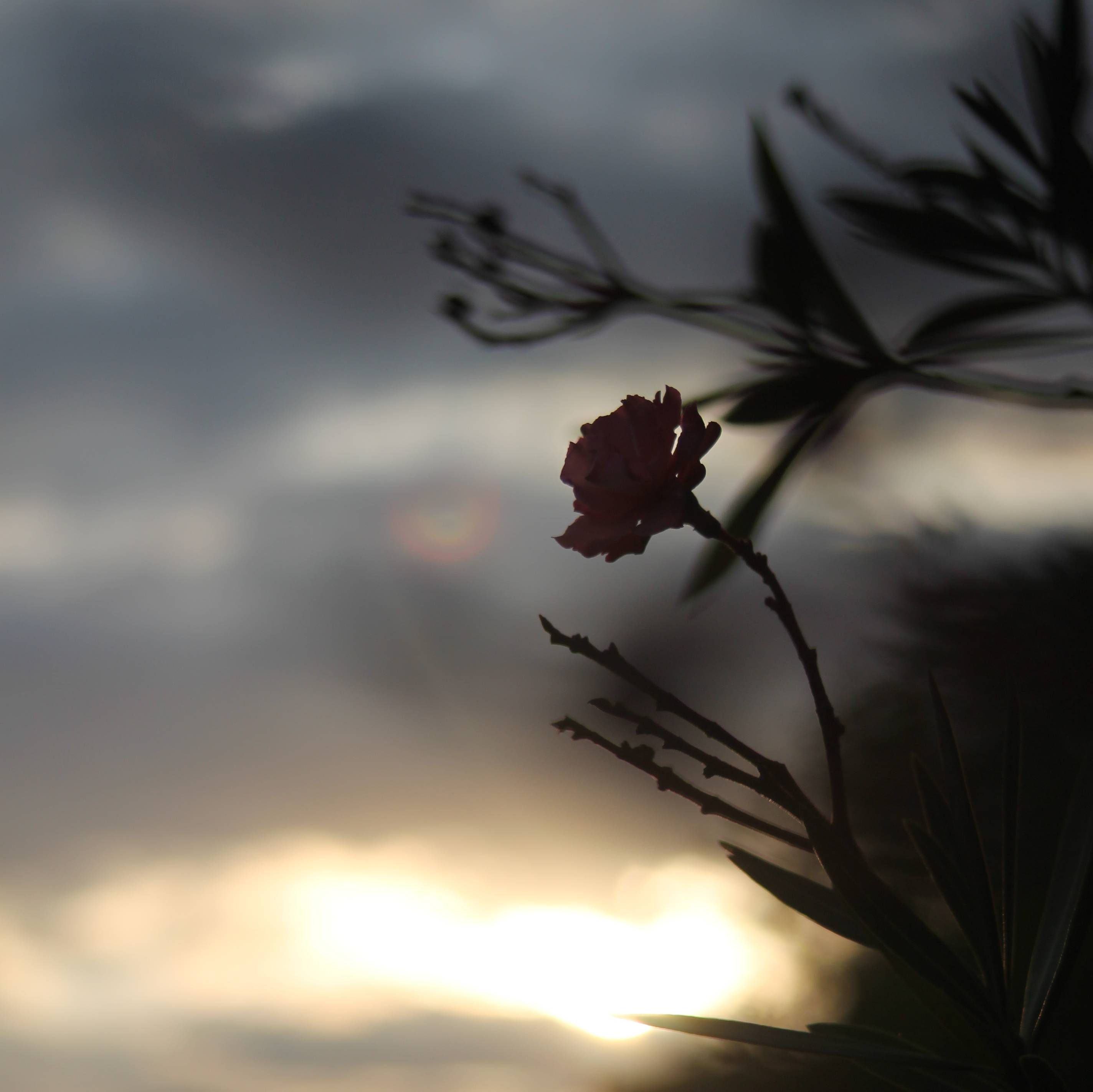 Иконка канала Пульс. Творческая мастерская