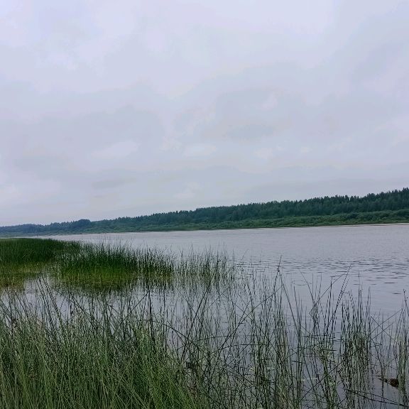 Иконка канала Речной