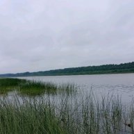 Иконка канала Речной