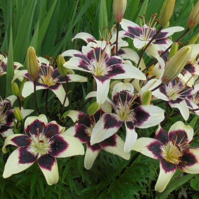 Иконка канала Марина Мэй