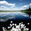 Иконка канала yurbor2001