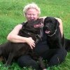 Иконка канала vetgordeeva online