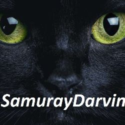 Иконка канала SamurayDarvin