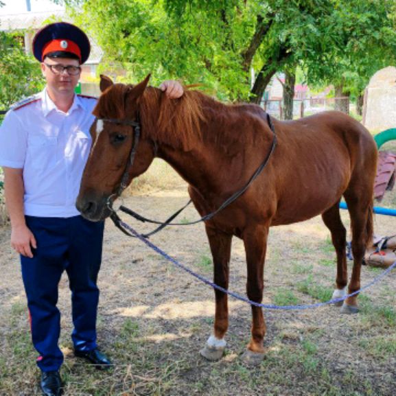 Иконка канала Казак.ТВ