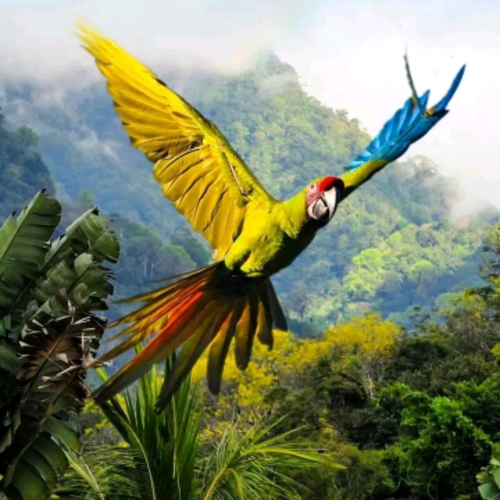 Иконка канала Лёлик205