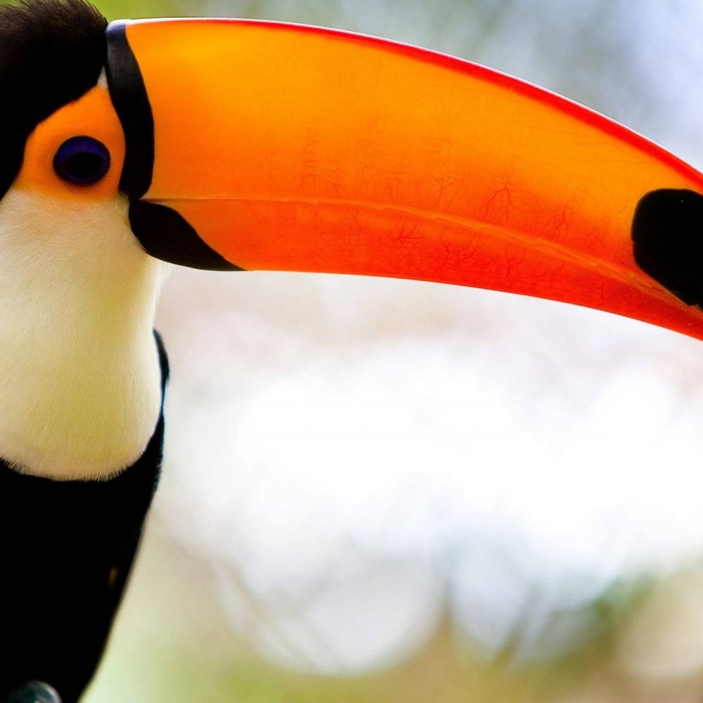 Иконка канала Мир в фокусе !