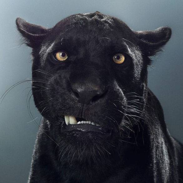 Иконка канала Доктор Ыть