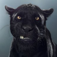 Иконка канала Доктор Ыть