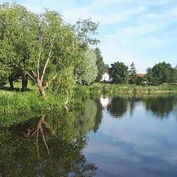 Иконка канала La mia musica