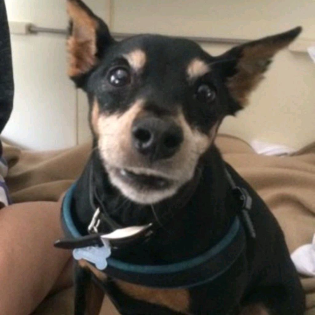 Иконка канала Charly & Linda home