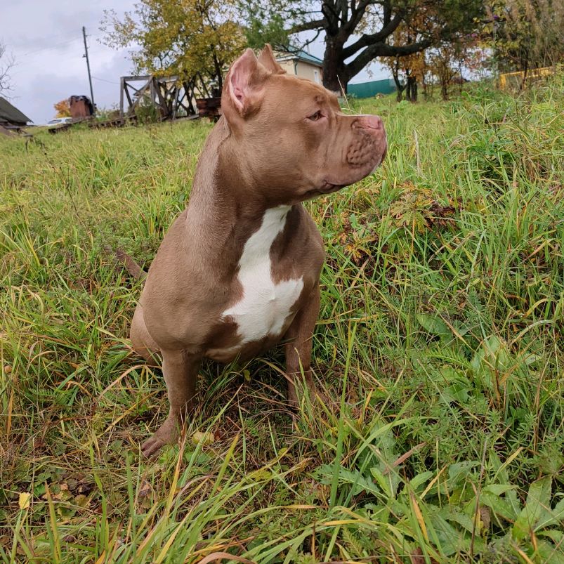 Иконка канала Энигма