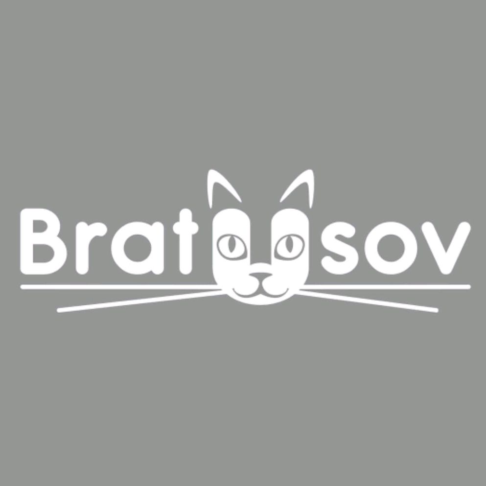 Иконка канала BratUsov