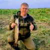 Иконка канала Дмитрий Павлович