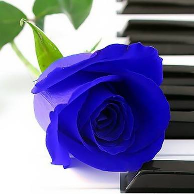 Иконка канала Прохождение игр