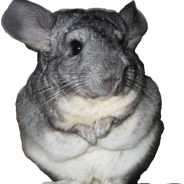 Иконка канала Полезно знать